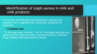 Staphylococcus aureus in milk and milk products | PPT