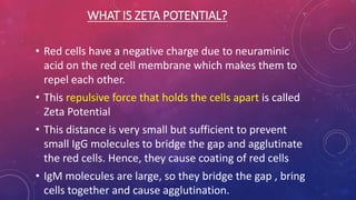 antigen and antibody reactions- Immunology | PPTX