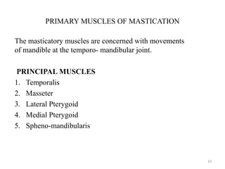 muscles of mastication | PPTX