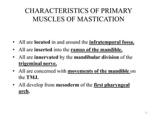 muscles of mastication | PPTX