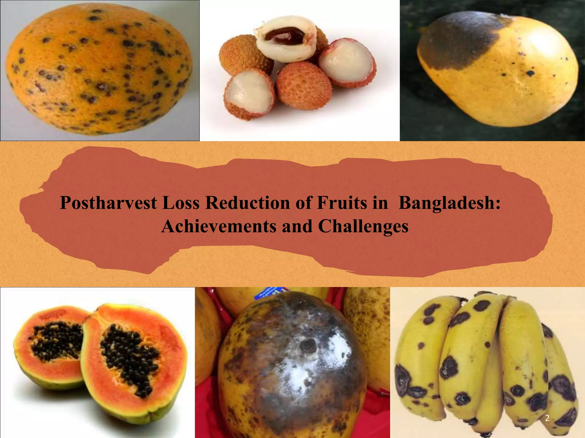 Postharvest Loss Reduction of Fruits in Bangladesh: Achievements and ...