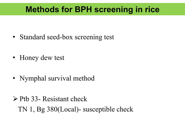 BPH Resistance in rice, new sources and approaches | PPTX