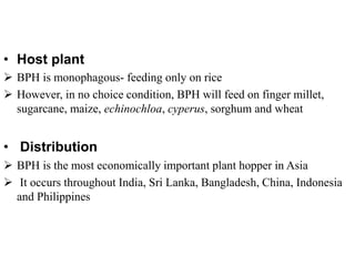 BPH Resistance in rice, new sources and approaches | PPTX