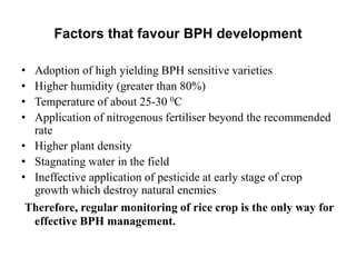 Seminar 2021 _BPH - .pptx