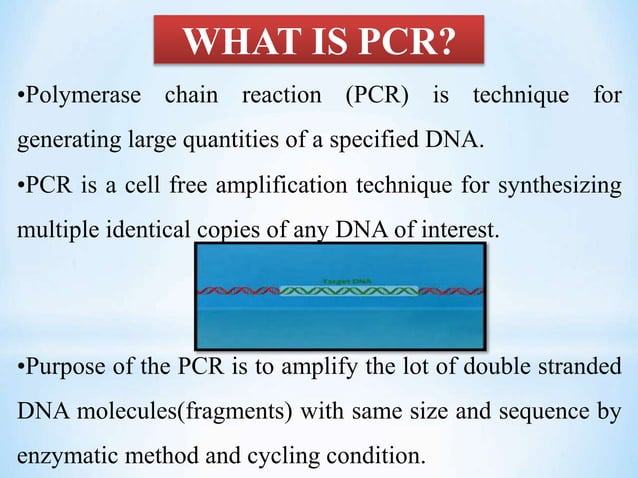 PCR PRINCIPLES | PPT