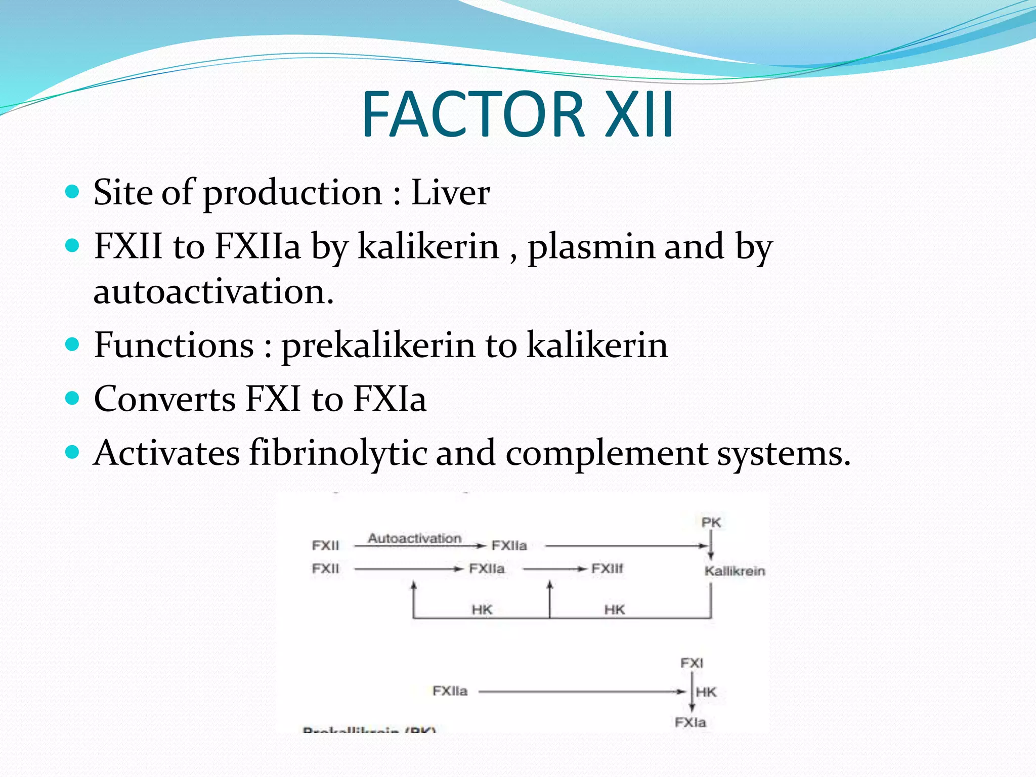 Secondary hemostasis - coagulation cascades and lab tests | PPTX