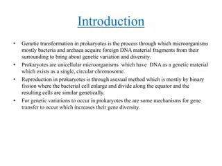 Genetic transformation in Prokaryotes | PPTX