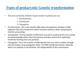 Genetic transformation in Prokaryotes | PPTX