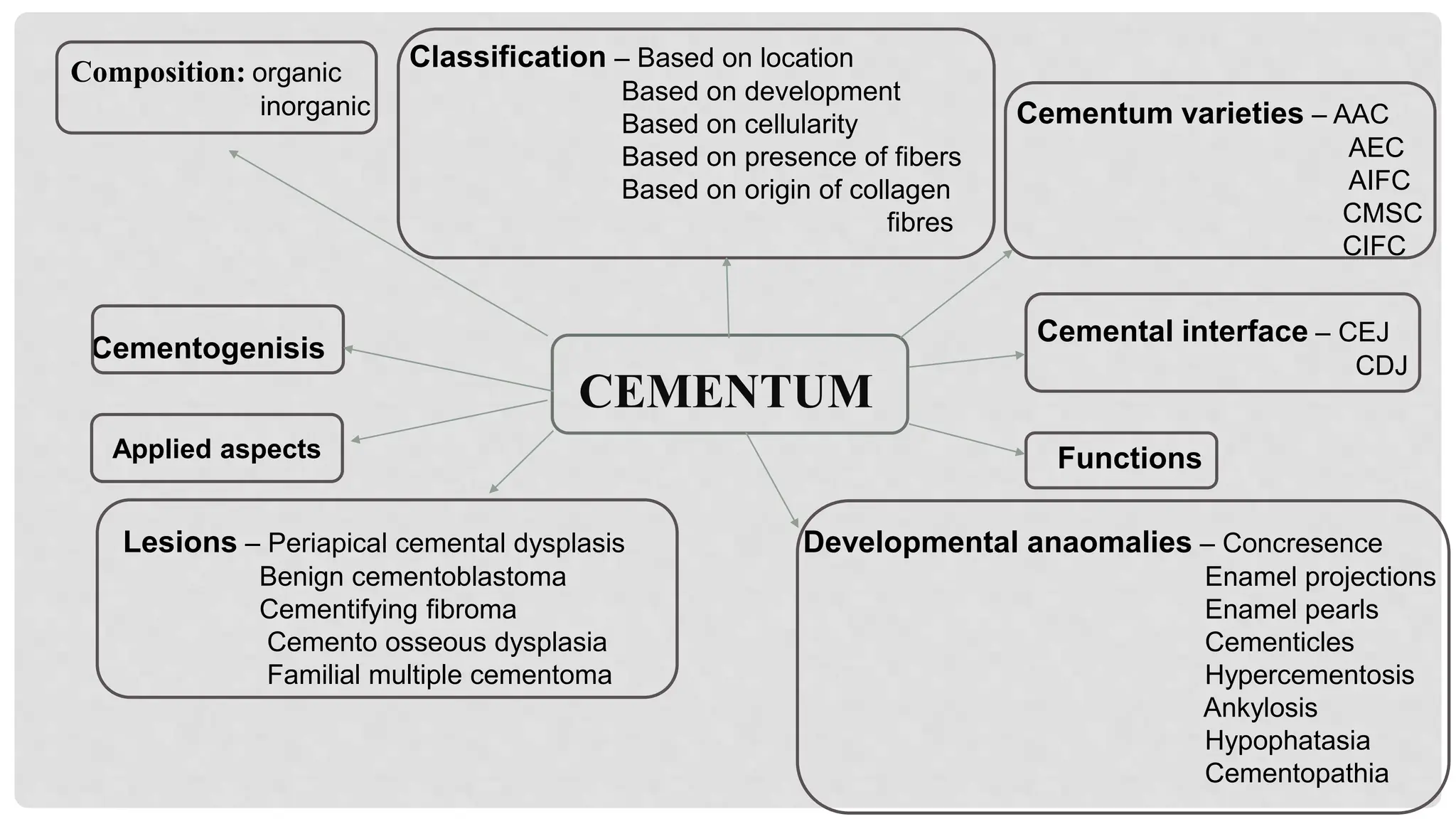 cementum | PPTX