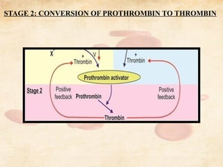 Clotting mechanism and anticoagulant.pptx