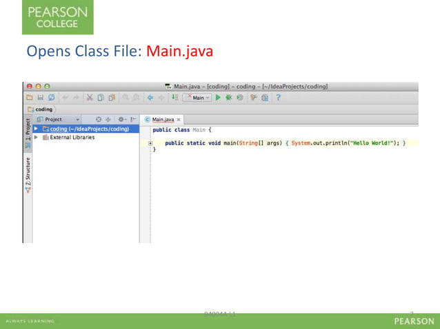 Seminar 2 coding_principles | PPT