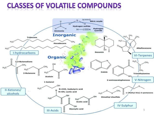 Microbial Volatiles | PPTX