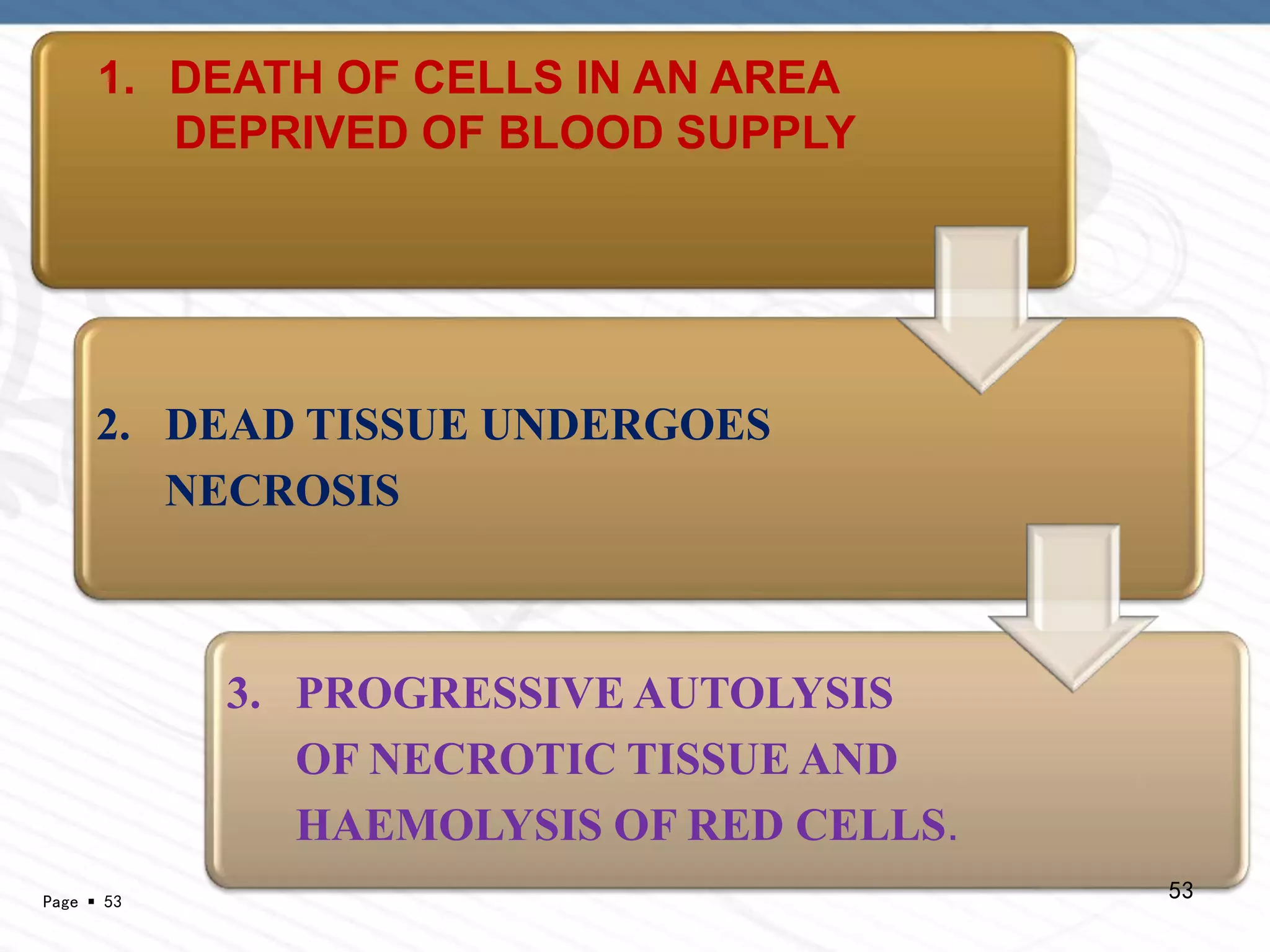 Ischemia and Infarction | PPTX