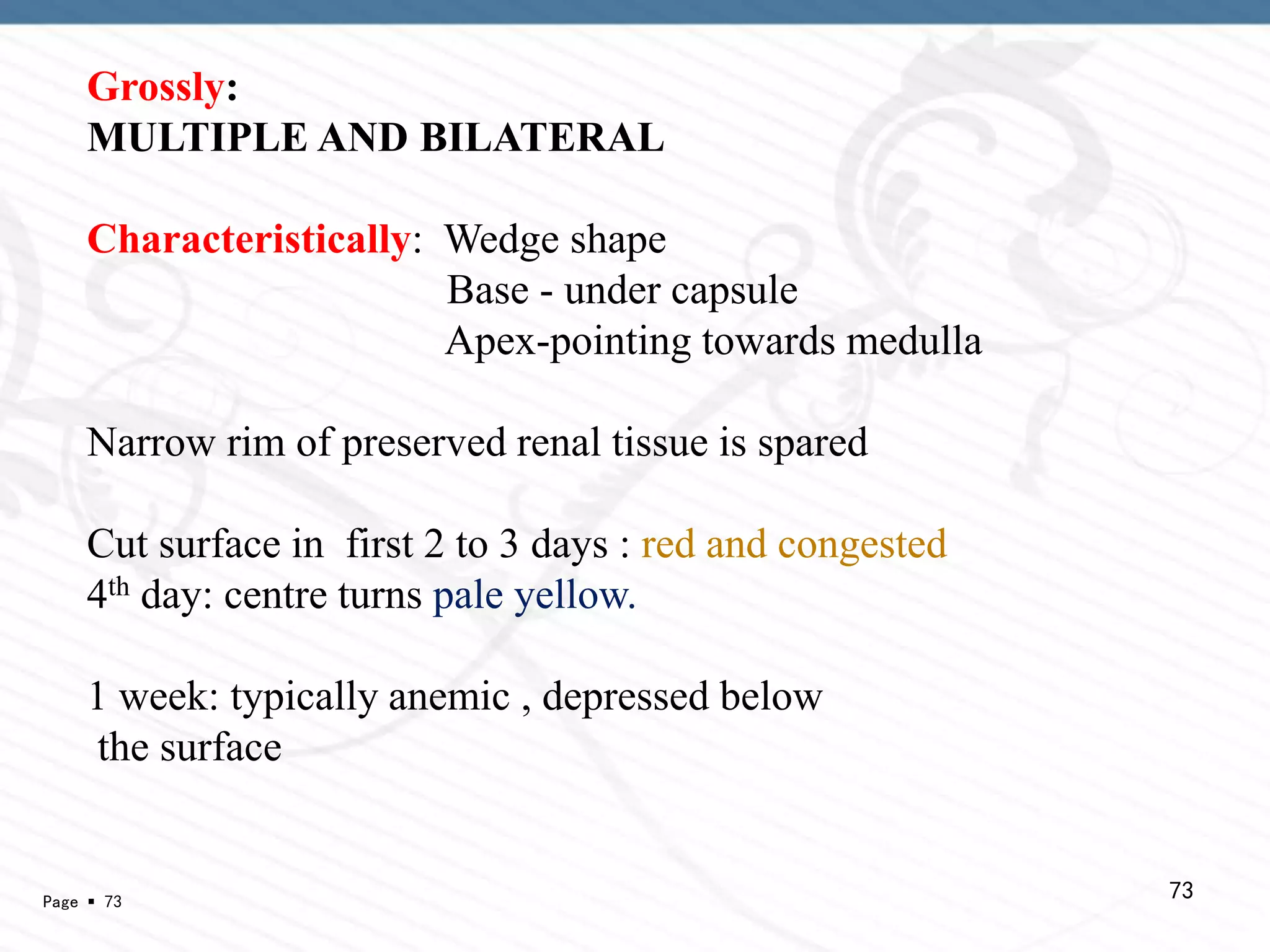 Ischemia and Infarction | PPTX