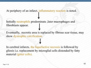 Ischemia and Infarction | PPTX