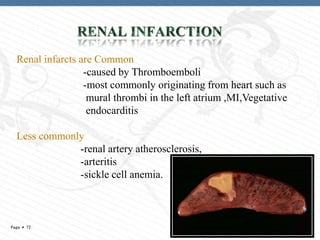 Ischemia and Infarction | PPTX