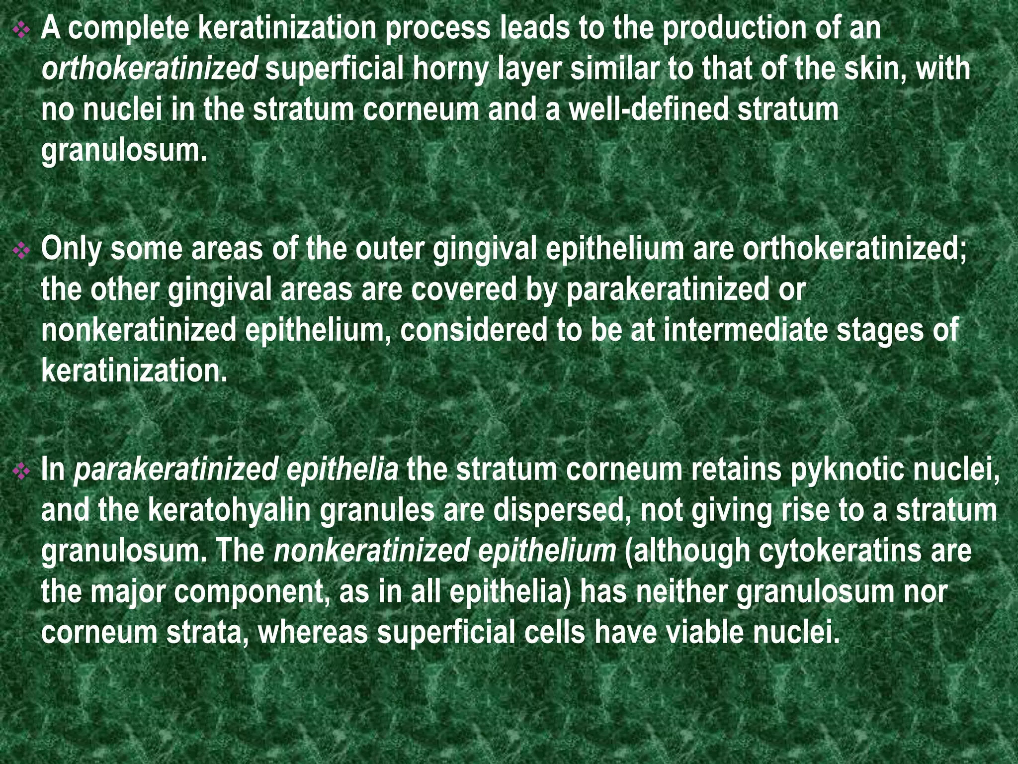 Microscopic features of gingiva. | PPTX
