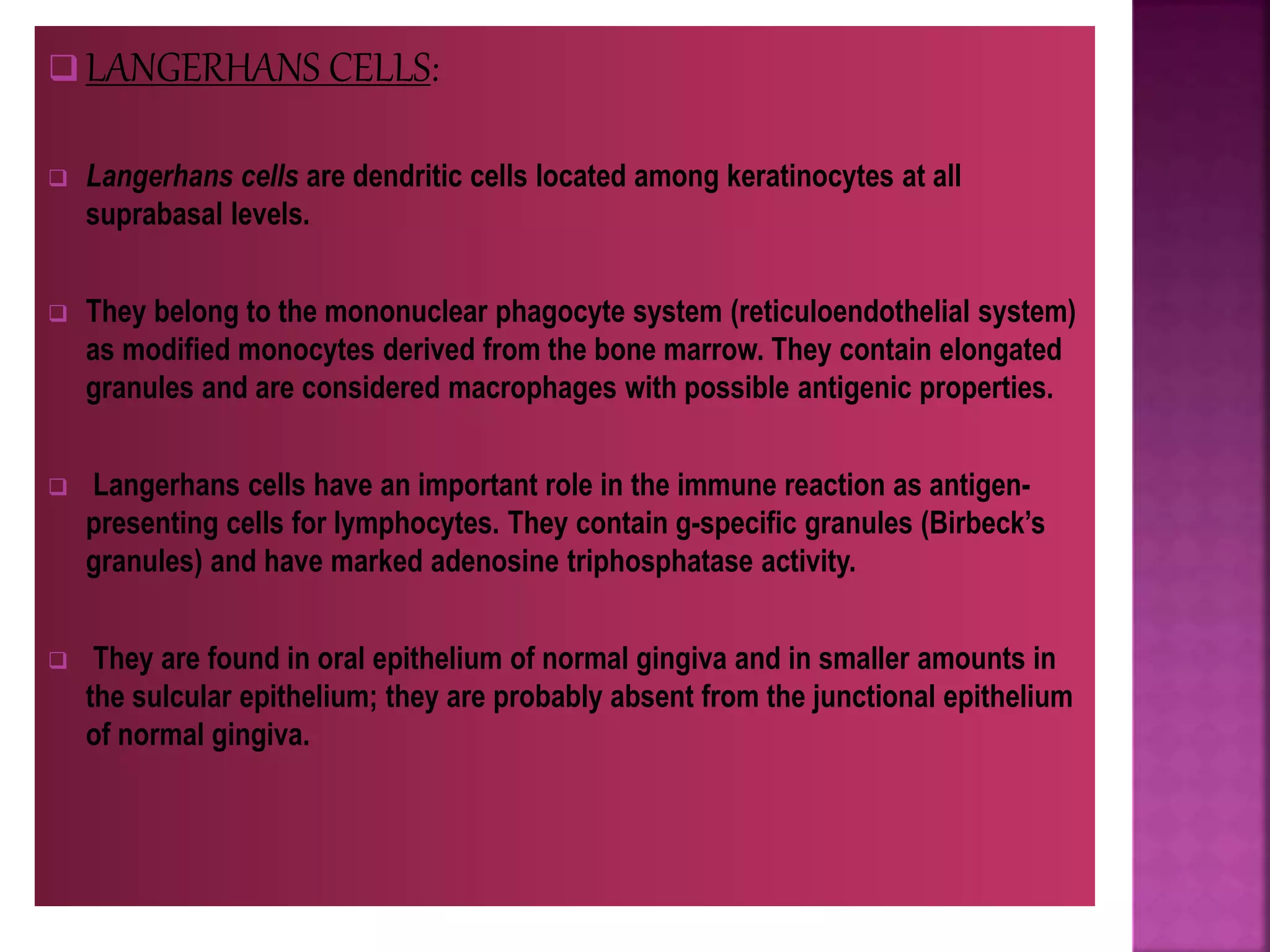 Microscopic features of gingiva. | PPTX