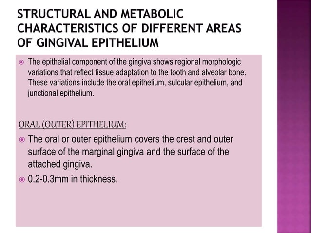 Microscopic features of gingiva. | PPTX