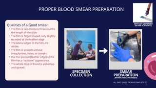 Proper Blood Smear Preparation: WBC Reference Ranges and Disease ...