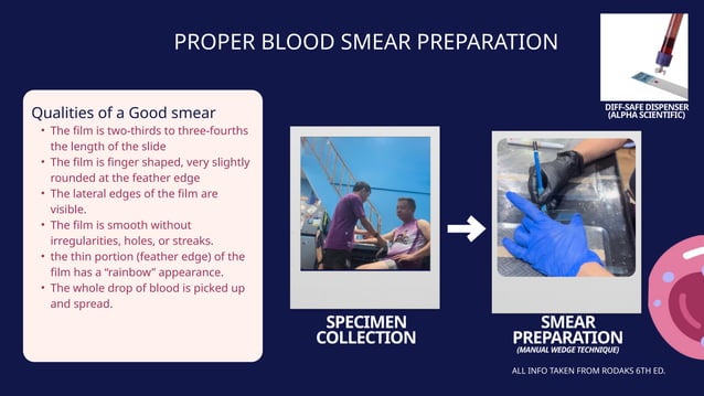Proper Blood Smear Preparation: WBC Reference Ranges and Disease ...