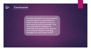 Product LIfe Cycle | PPTX