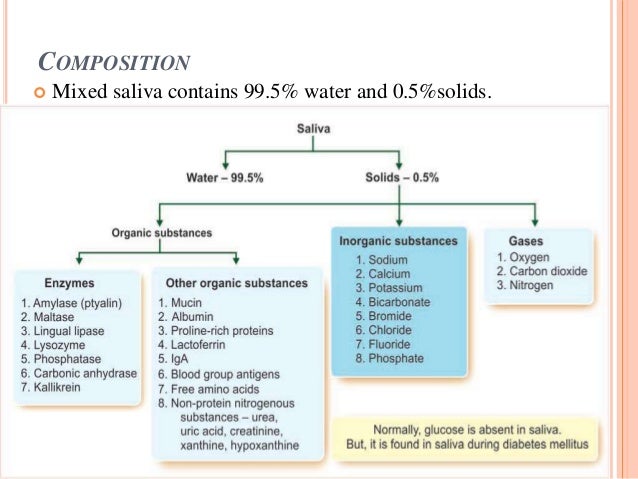 saliva in oral health