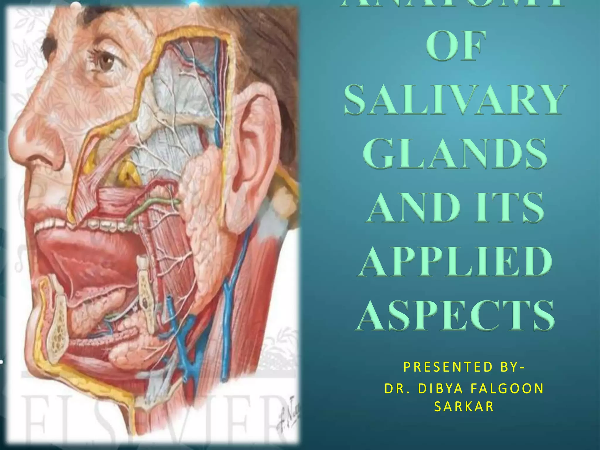 Surgical Anatomy of Salivary Glands and its Applied aspects | PPTX