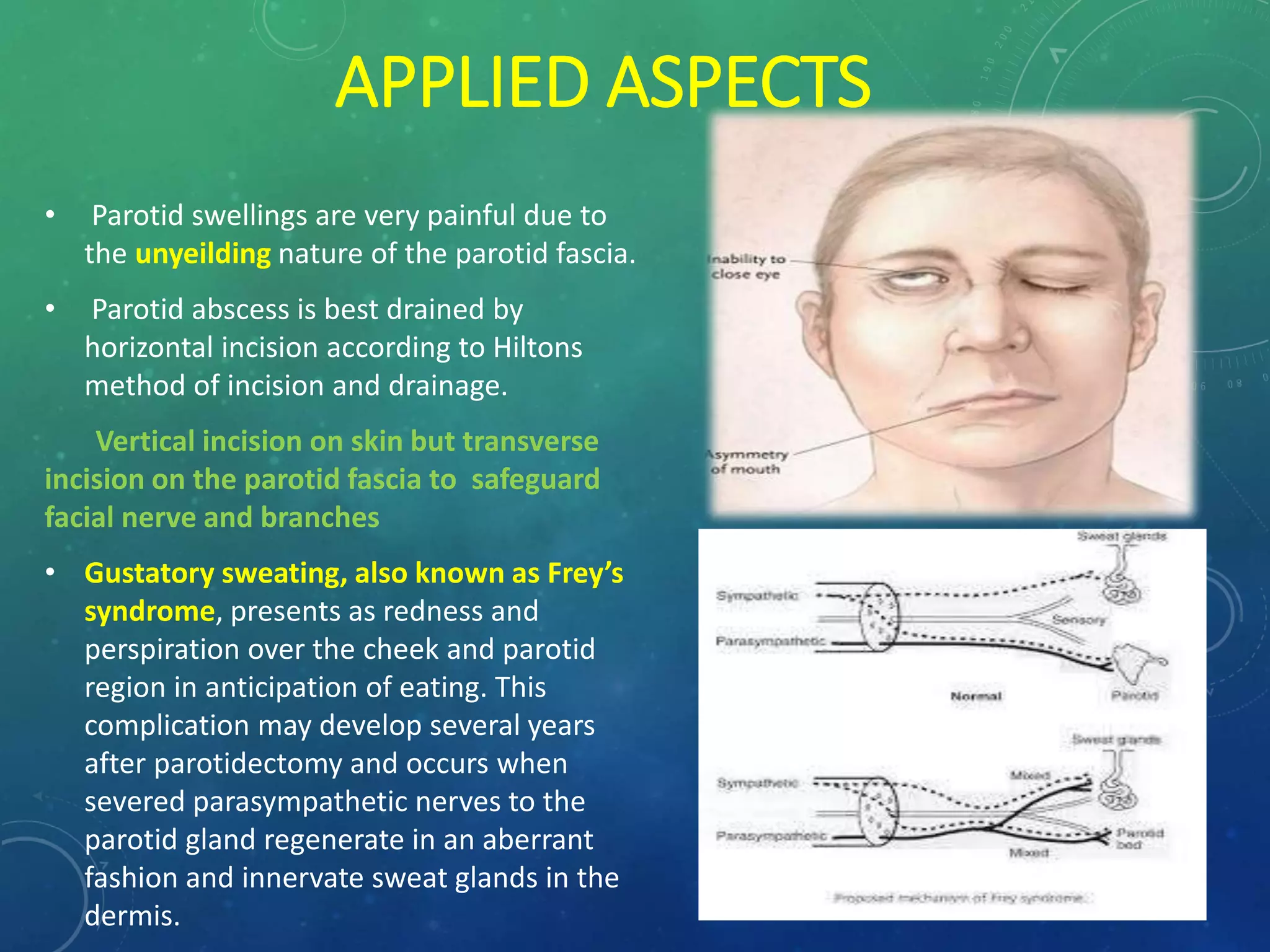 Surgical Anatomy of Salivary Glands and its Applied aspects | PPTX