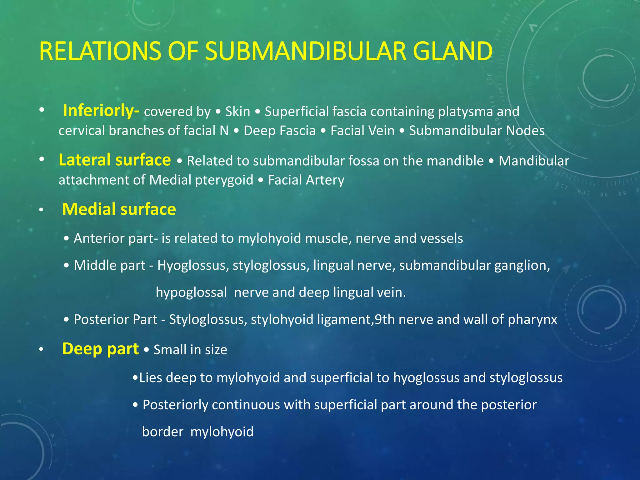Surgical Anatomy of Salivary Glands and its Applied aspects | PPTX