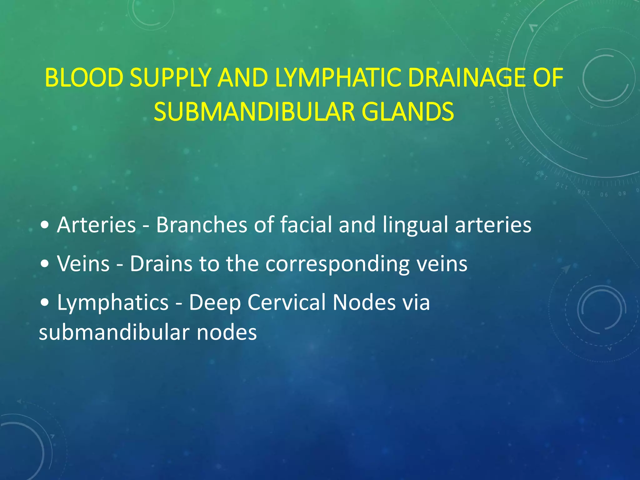 Surgical Anatomy of Salivary Glands and its Applied aspects | PPTX