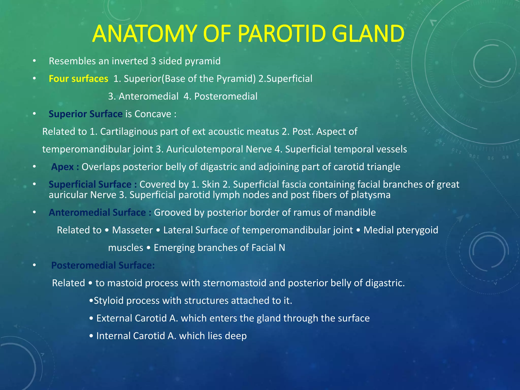 Surgical Anatomy of Salivary Glands and its Applied aspects | PPTX
