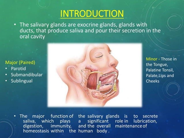 Surgical Anatomy of Salivary Glands and its Applied aspects | PPTX