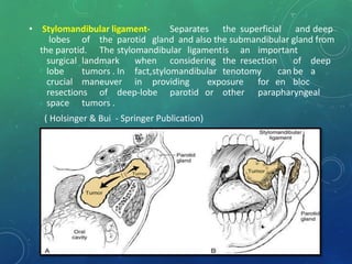 Surgical Anatomy of Salivary Glands and its Applied aspects | PPTX
