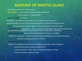 Surgical Anatomy of Salivary Glands and its Applied aspects | PPTX