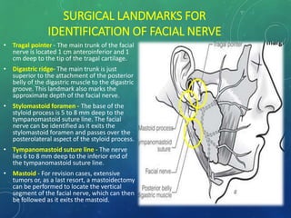Surgical Anatomy of Salivary Glands and its Applied aspects | PPT