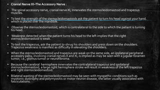 Cranial nerve examination | PPTX