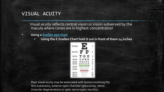 Cranial nerve examination | PPTX