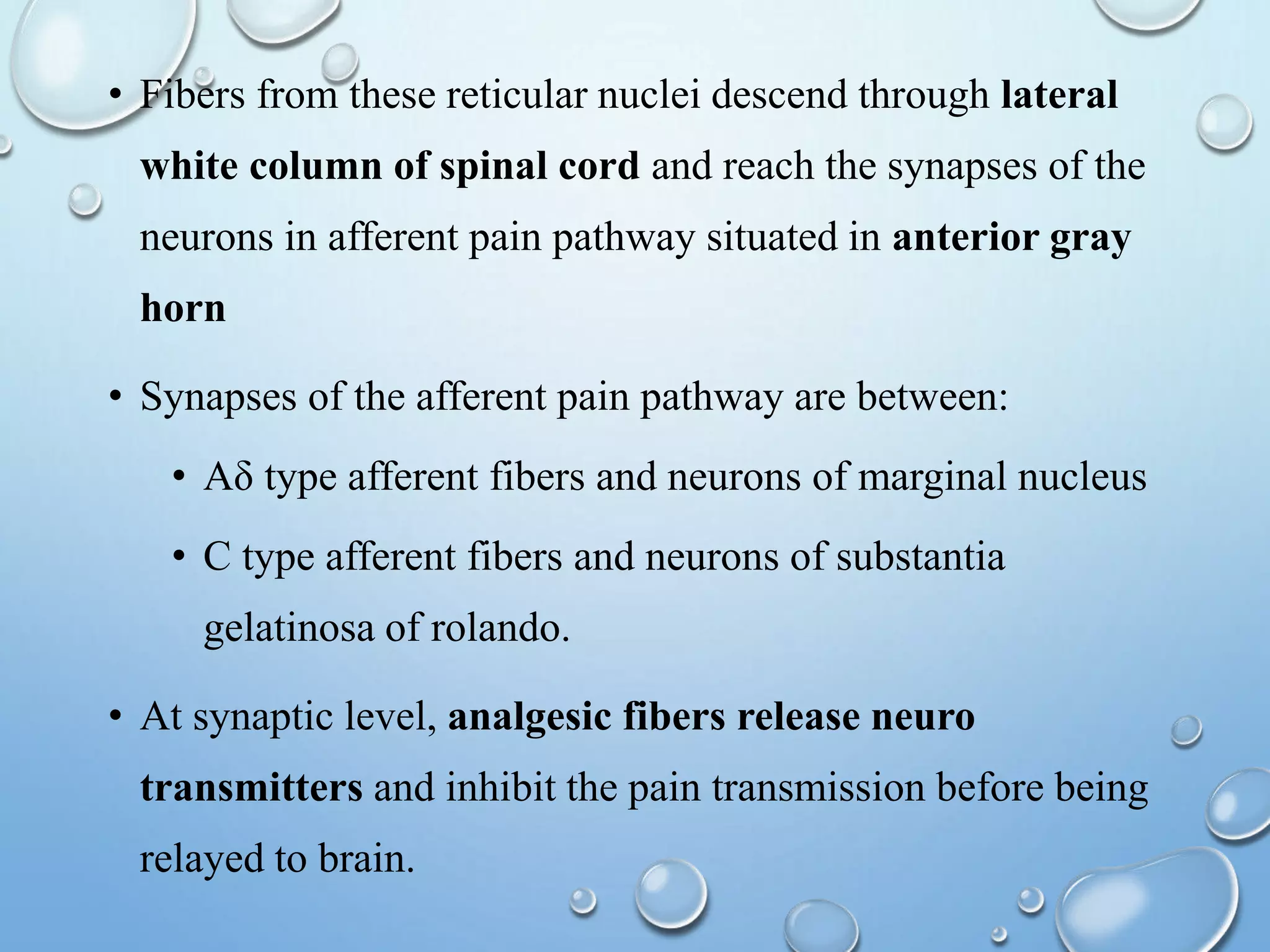 PAIN AND PAIN PATHWAYS | PPTX