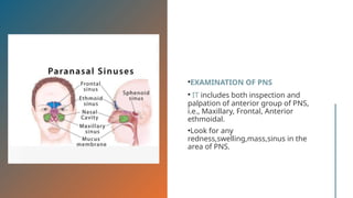 Clinical examination of nose in out patient setup | PPTX