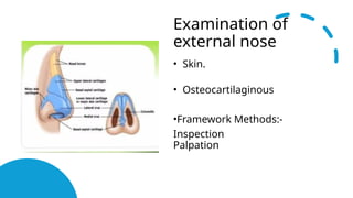 Clinical examination of nose in out patient setup | PPTX