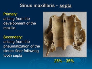 Seminar 3 Anatomy of Maxilla, growth blood supply | PPT