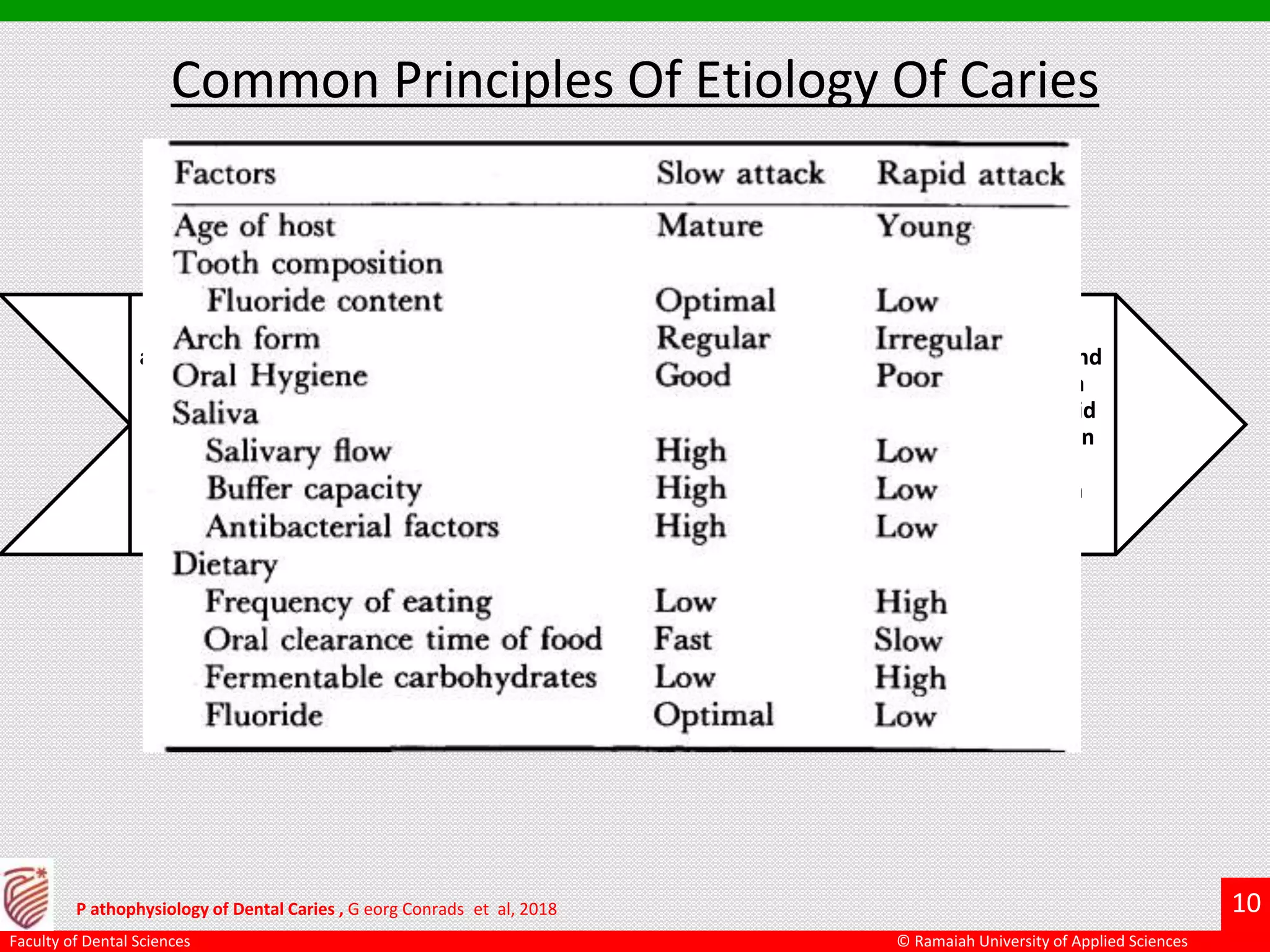 Pathophysiology of caries and pulpal reactions to caries | PPTX