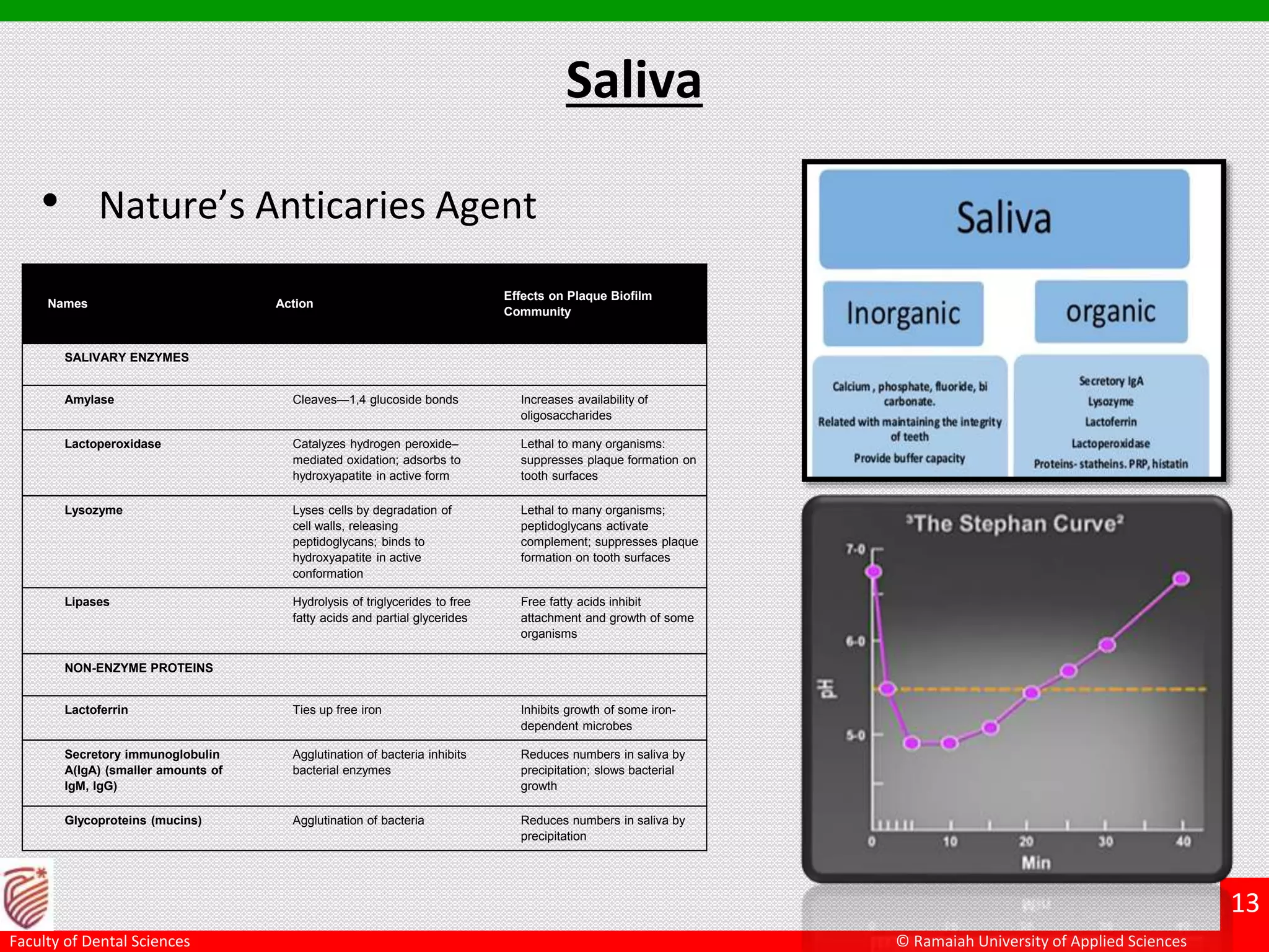 Pathophysiology of caries and pulpal reactions to caries | PPTX