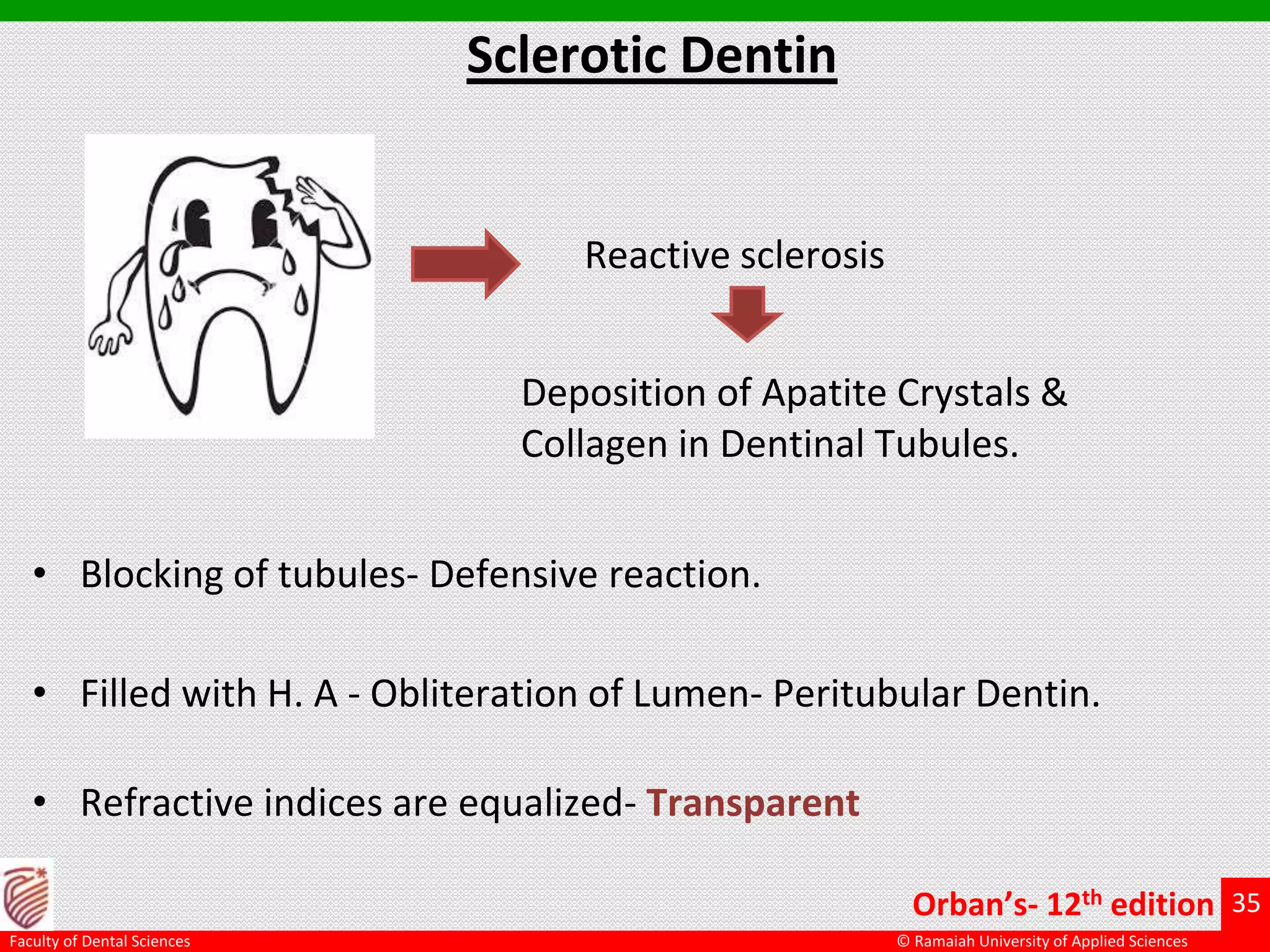 Pathophysiology of caries and pulpal reactions to caries | PPTX