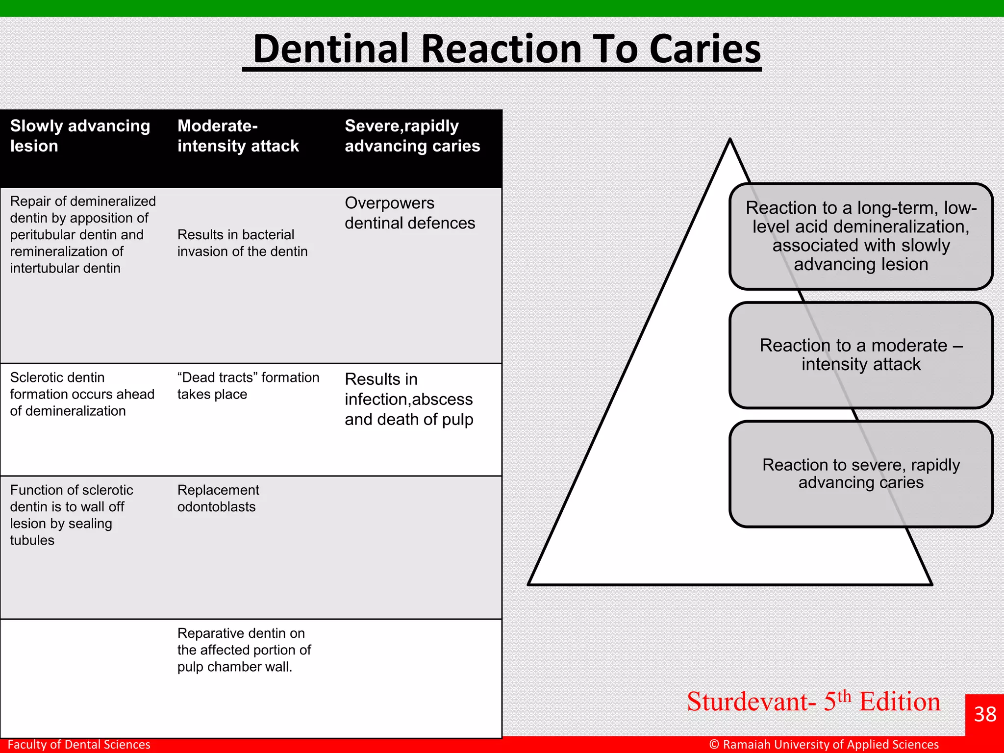 Pathophysiology of caries and pulpal reactions to caries | PPTX