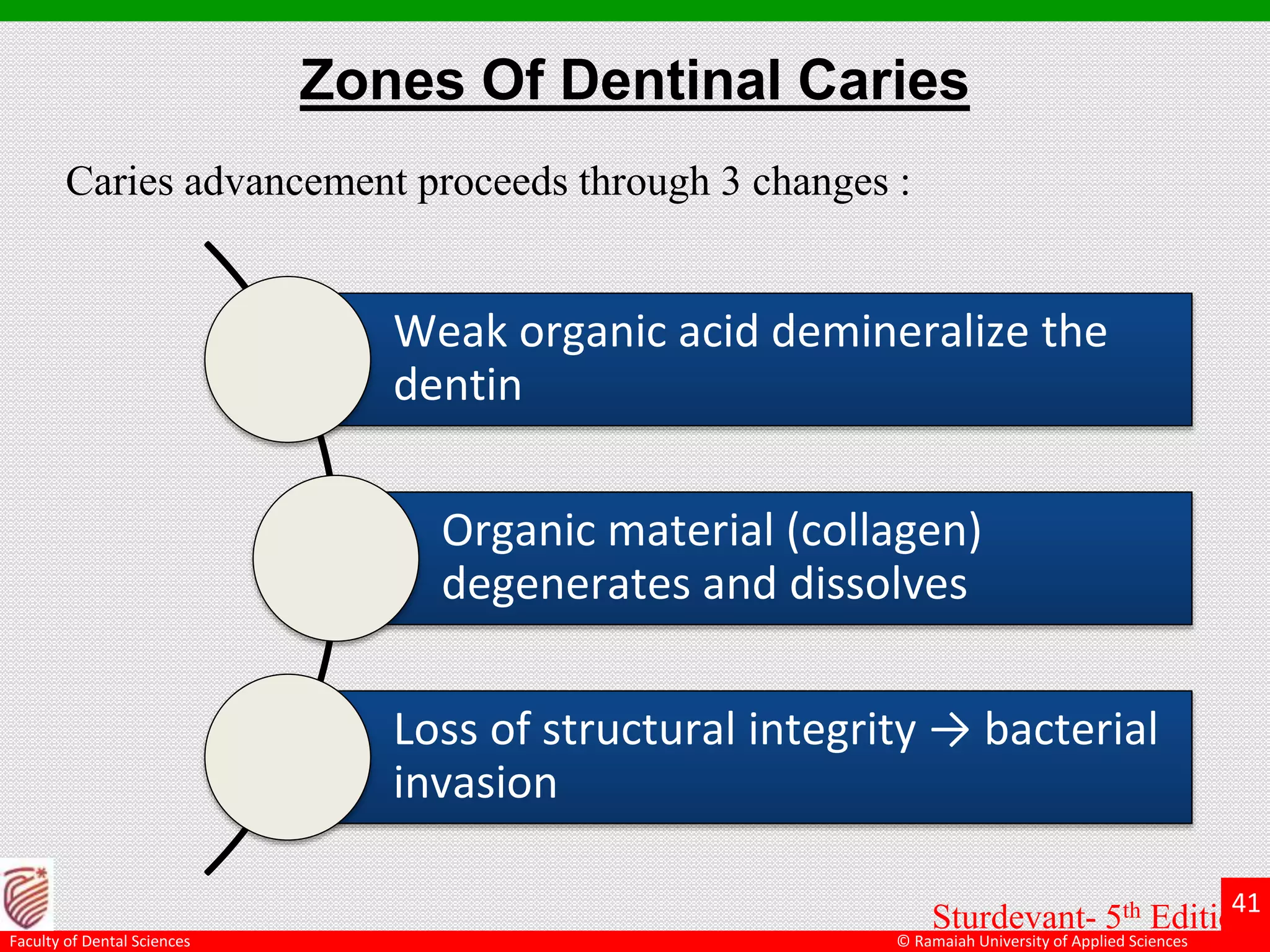 Pathophysiology of caries and pulpal reactions to caries | PPTX
