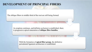 PERIODONTAL LIGAMENT | PPTX
