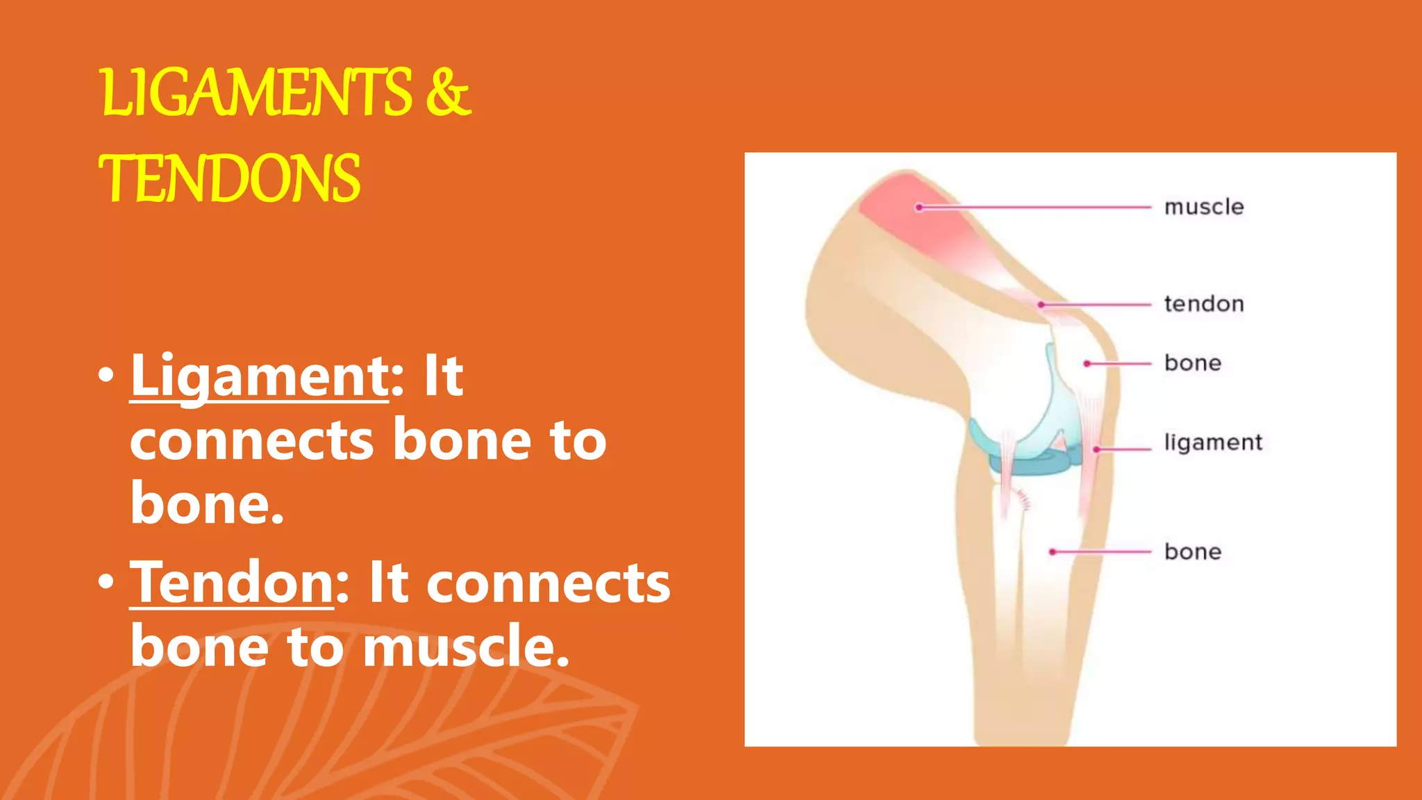 Dislocation,sprain,strain and contusion.pptx