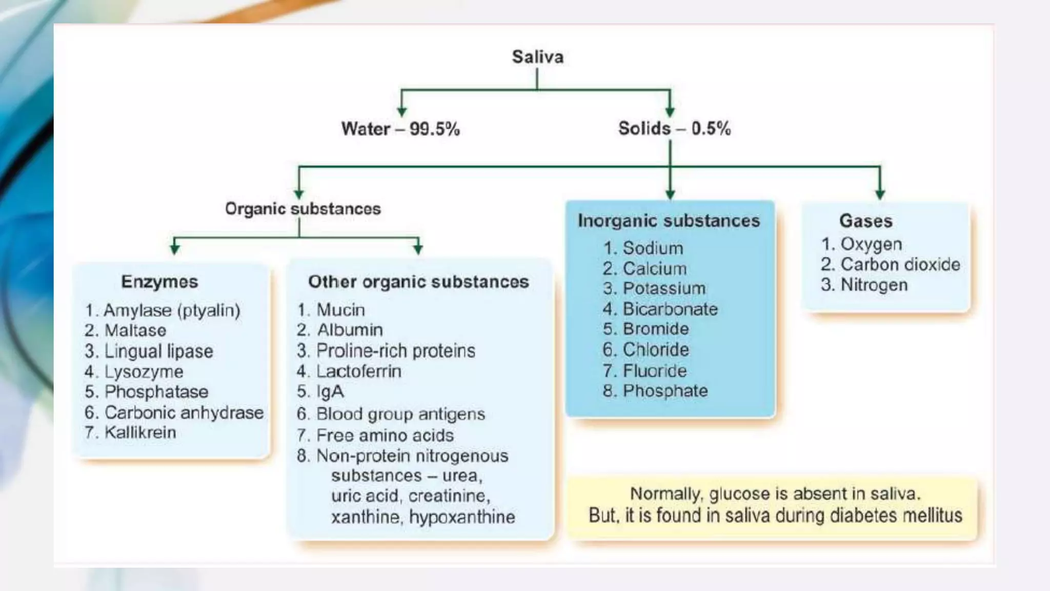 saliva and salivary glands | PPTX | Ear, Nose and Throat Conditions ...